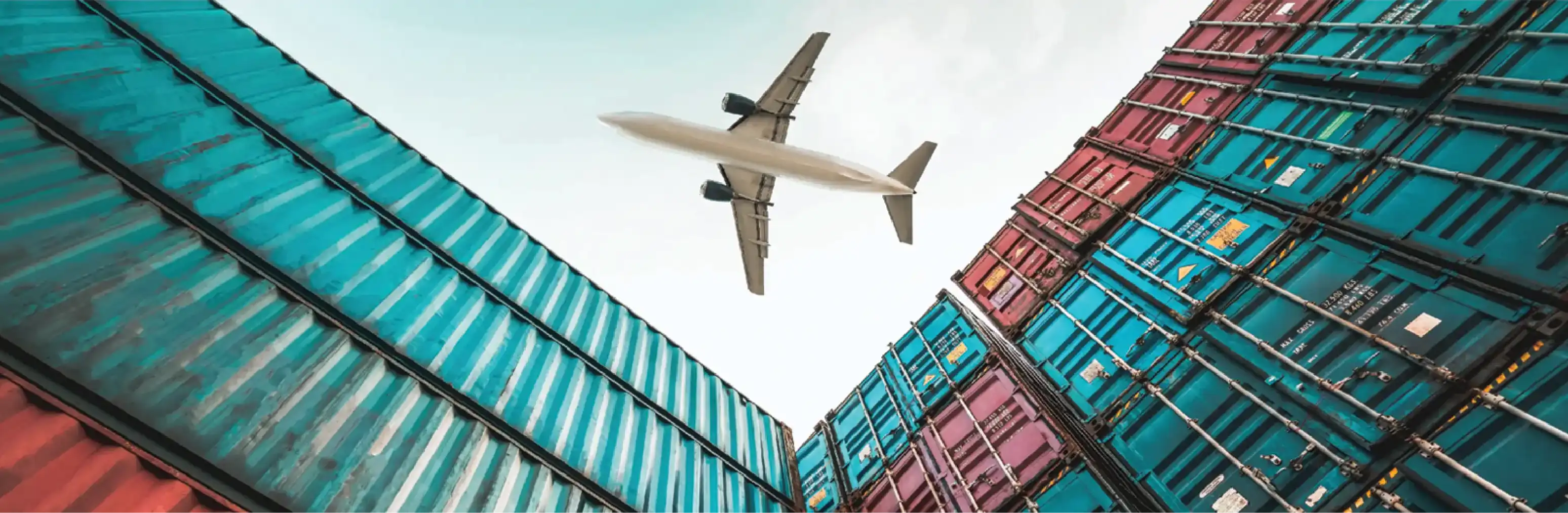 Home Page - وزارة النقل والخدمات اللوجستية